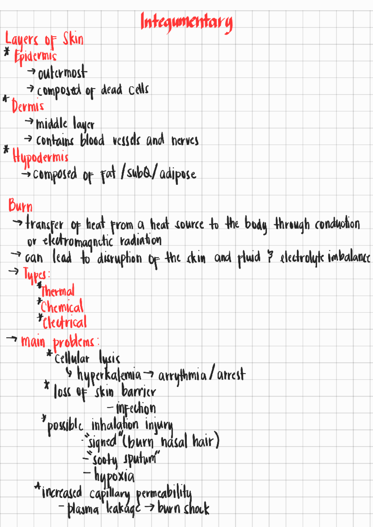 Integumentary System Notes: Skin Layers, Burns, and Wound Care - Studocu