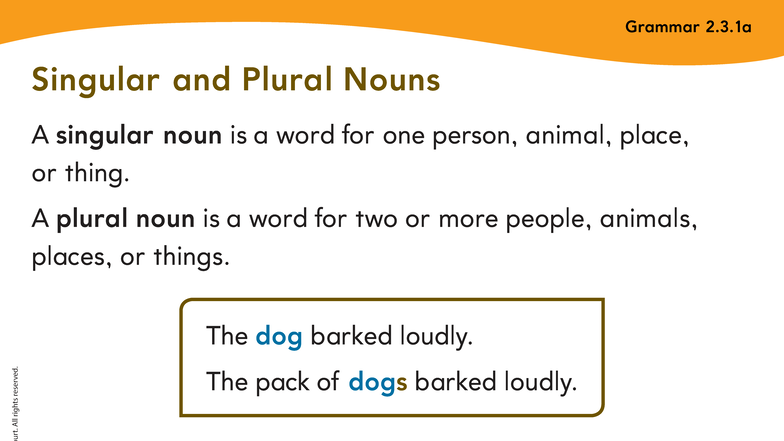 Grade 1 Grammar Minilessons: Singular and Plural Nouns 2.3.1-2.3.5 ...