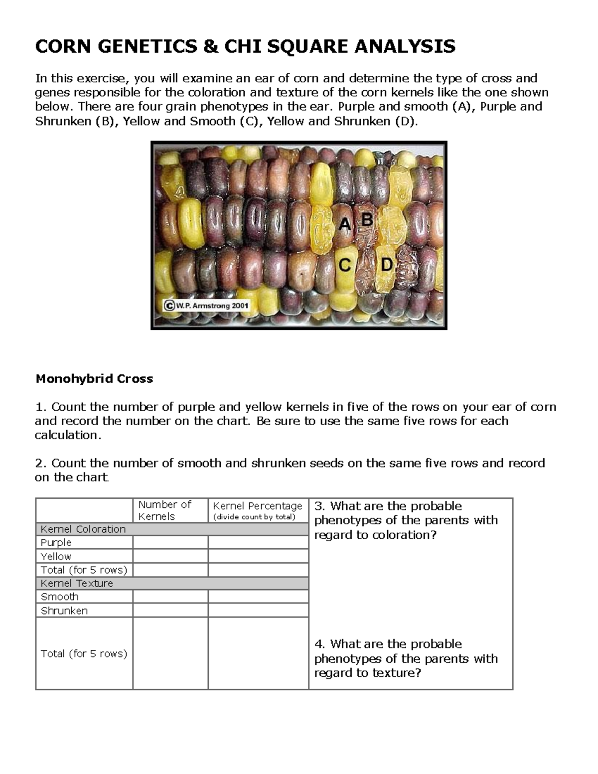 AP Bio - Corn Genetics Lab: Examining Color & Texture Traits - Studocu