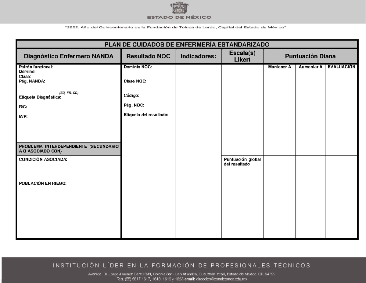 Plantilla De Proceso De Enfermería