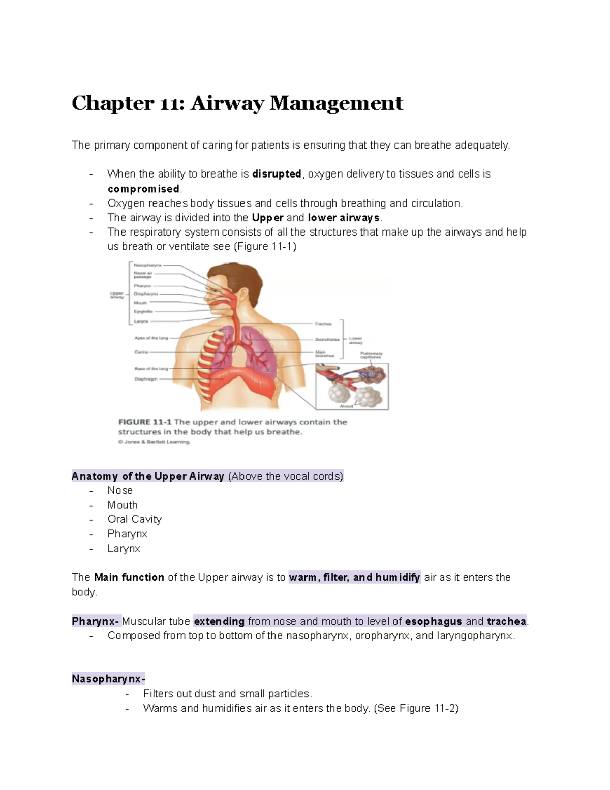 Chapter 11: Comprehensive Airway Management Notes for EMTs - Studocu