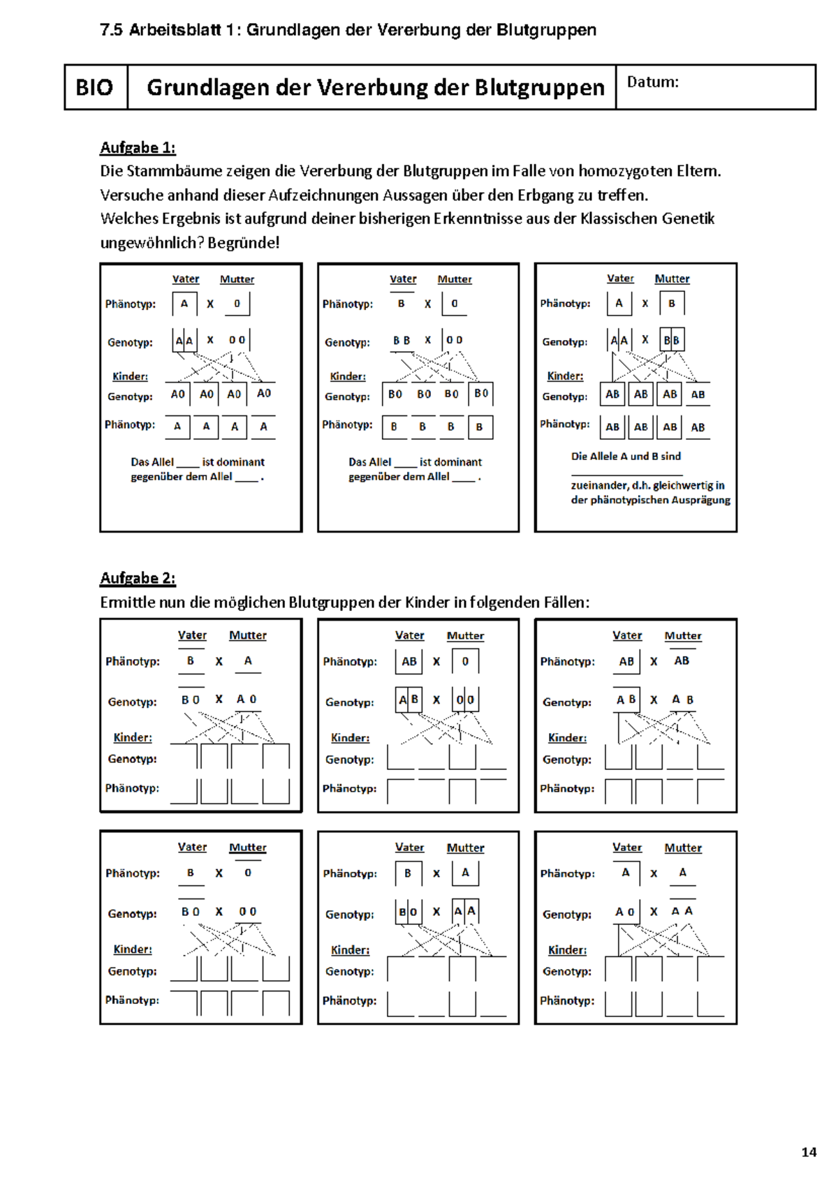 AB 1 Gen Blut - WINTERSEMESTER - Biologie - 7 Arbeitsblatt 1 ...