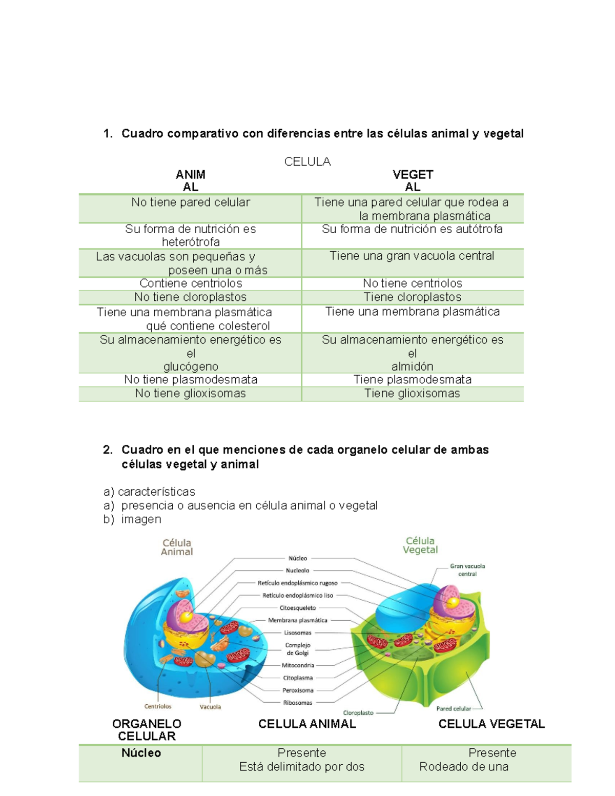 Diferencias Entre La Celula Vegetal Y La Celula Animal Compartir Celular