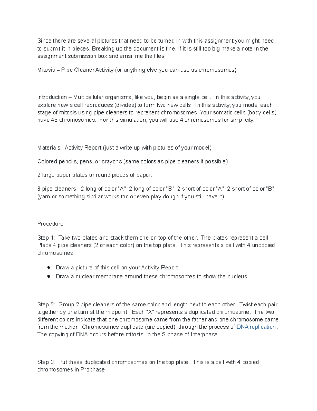 Mitosis Modeling Activity: Exploring Cell Division with Pipe Cleaners ...
