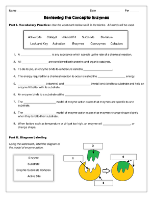 Enzyme Labeling - Enzymes Use the following keywords to label the ...
