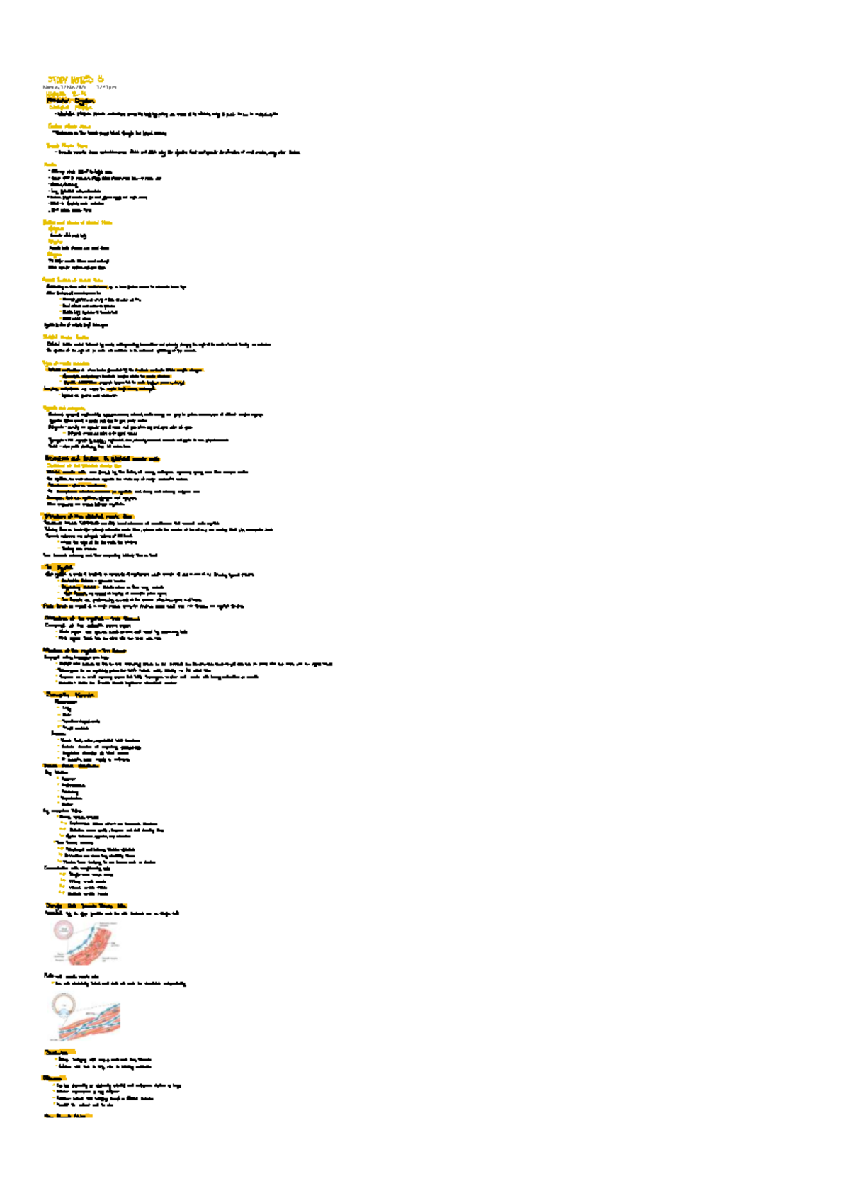 HSP 2 Study Notes: Cell Functions & Cochlea Insights - Studocu