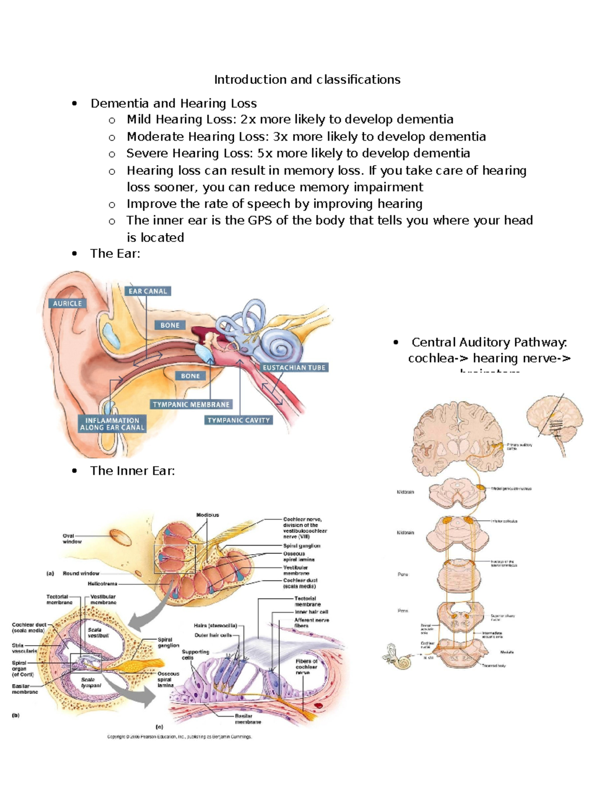 Lecture Notes on Dementia and Hearing Loss: Classifications and ...