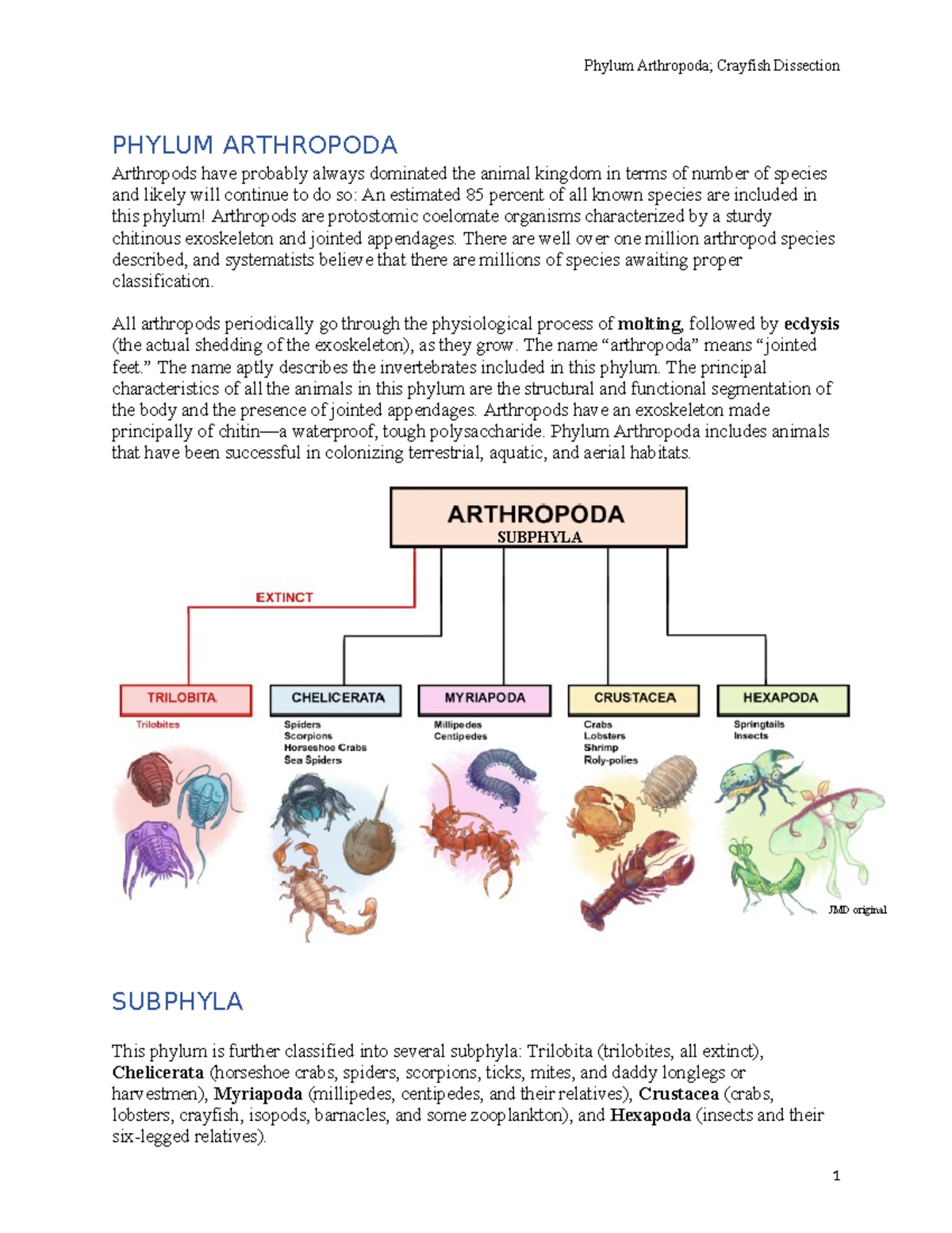 Crayfish Dissection Lab Instructions: Phylum Arthropoda Overview ...
