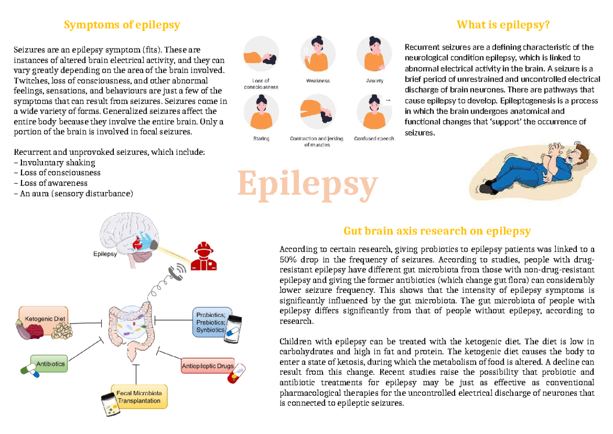 Epilepsy Overview: Symptoms, Seizures, and Gut Microbiota Insights ...