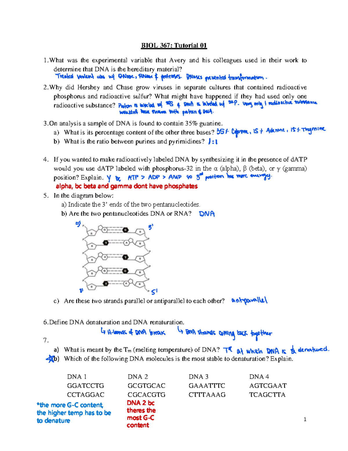 BIOL 367: DNA Heredity and Replication Concepts Tutorial 01 - Studocu