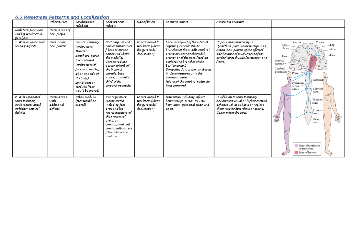 6.3 Patterns of Weakness and Localization in Neurology - Studeersnel