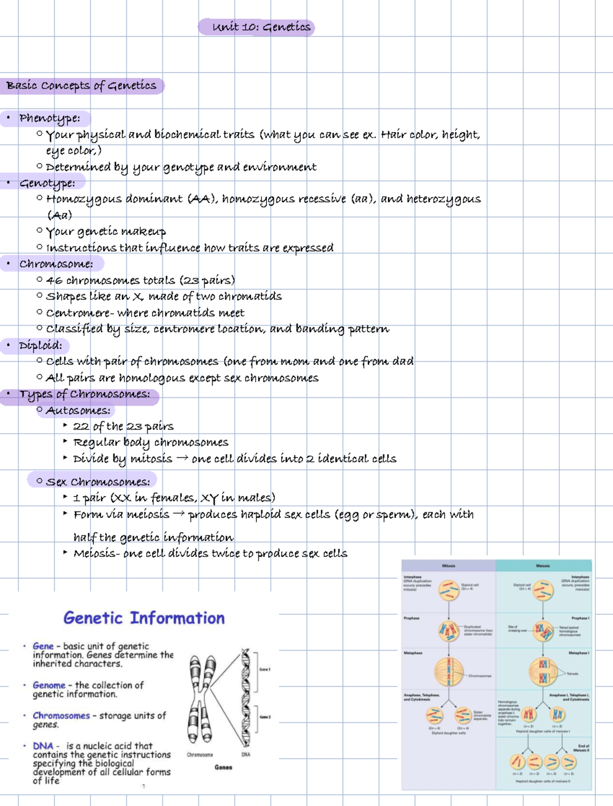 Patho Genetics - Unit 10: Basic Concepts of Genetics and Disorders ...