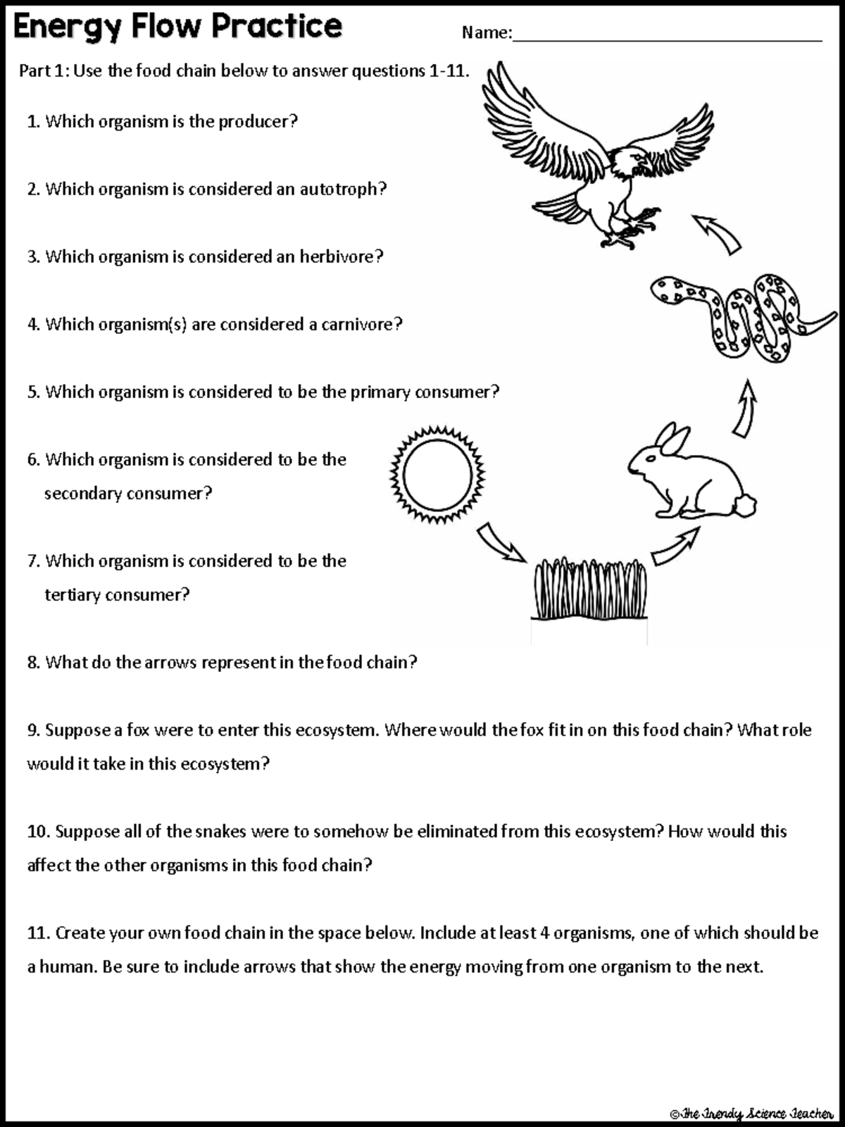 Energy Flow Practice Worksheet (Part 1 & 2) - Ecosystem Dynamics - Studocu
