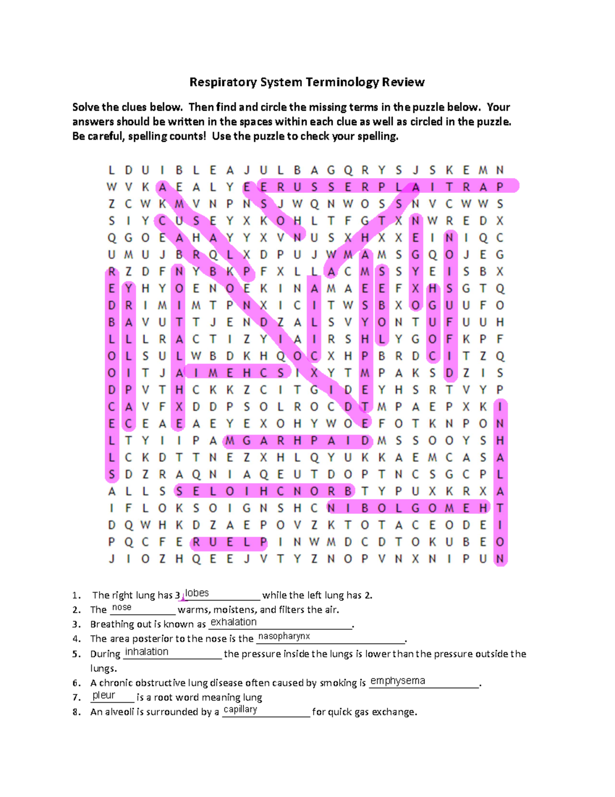 Respiratory System Terminology Word Search Activity - Studocu