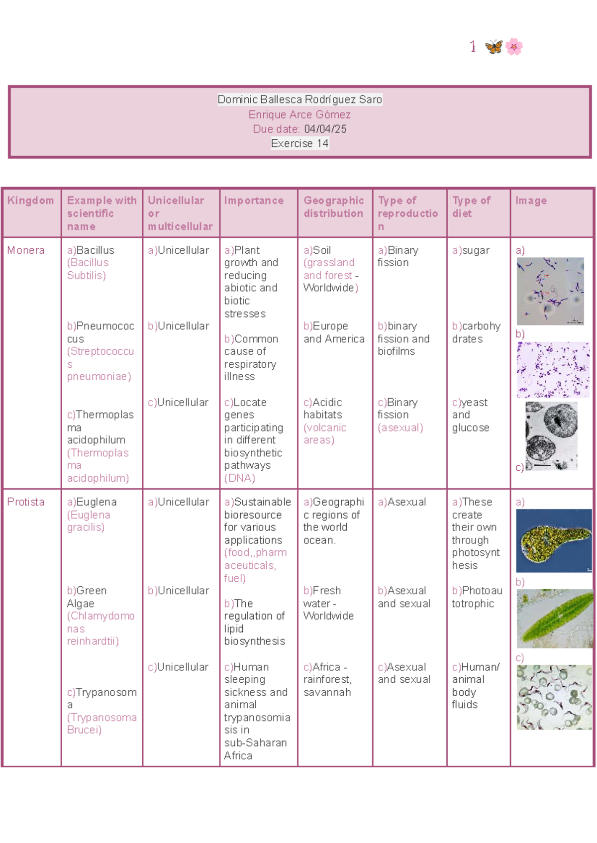 Exercise 14: Unicellular & Multicellular Organisms in Life Science ...