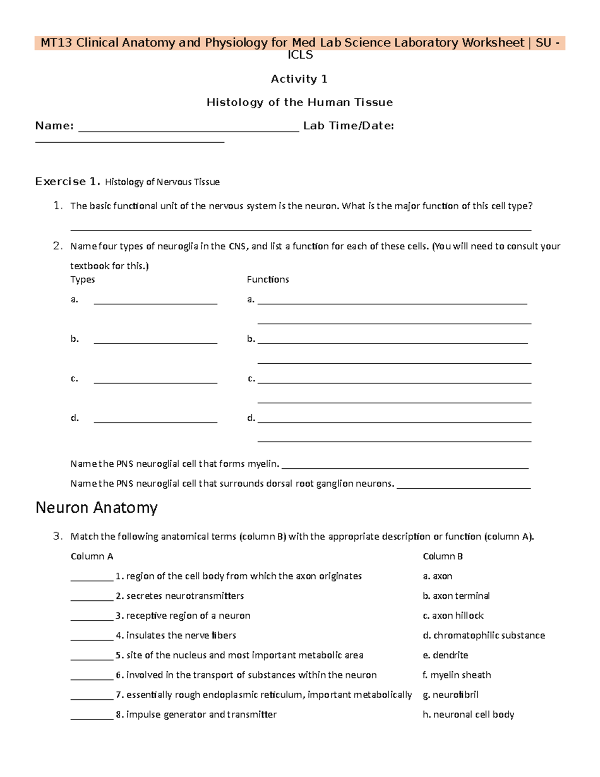 Activity 1 Histology of the Human Tissue - MT13 Clinical Anatomy and ...