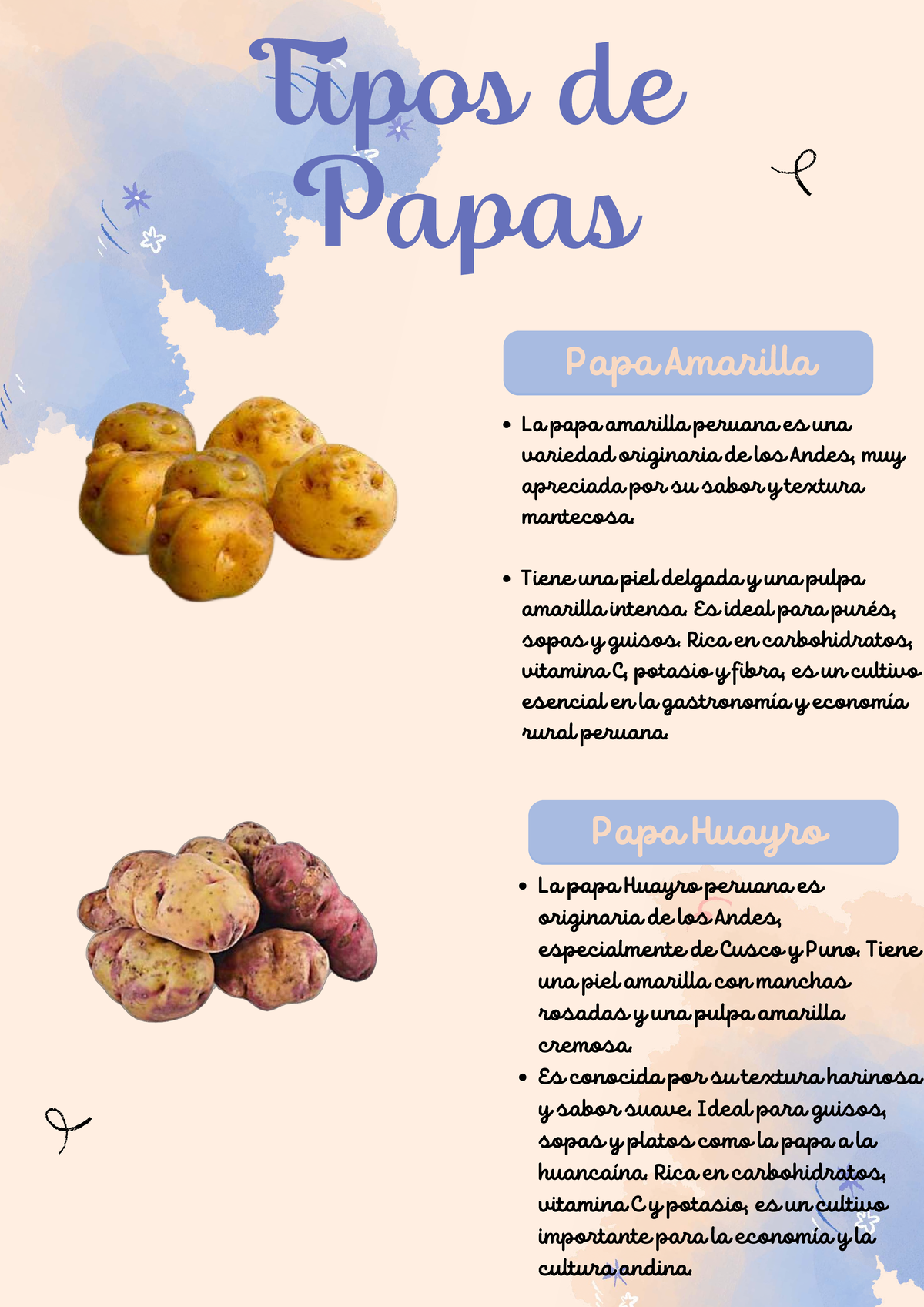 Tipos de Papas en Perú: Características y Usos - LEE - Studocu