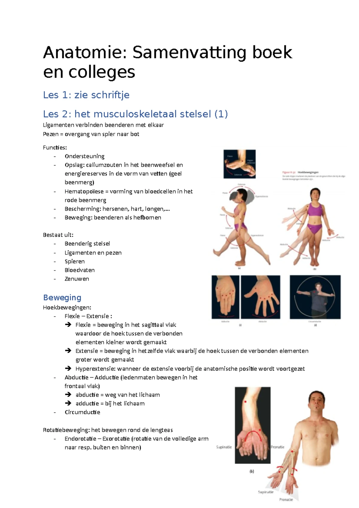 Anatomie Practicum 1 - De processus transversus heeft 3 uitsteeksels ...