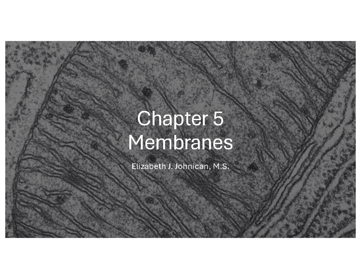 Mechanisms of Cell Membrane Transport: Active & Passive Processes - Chapter 5 Membranes ...