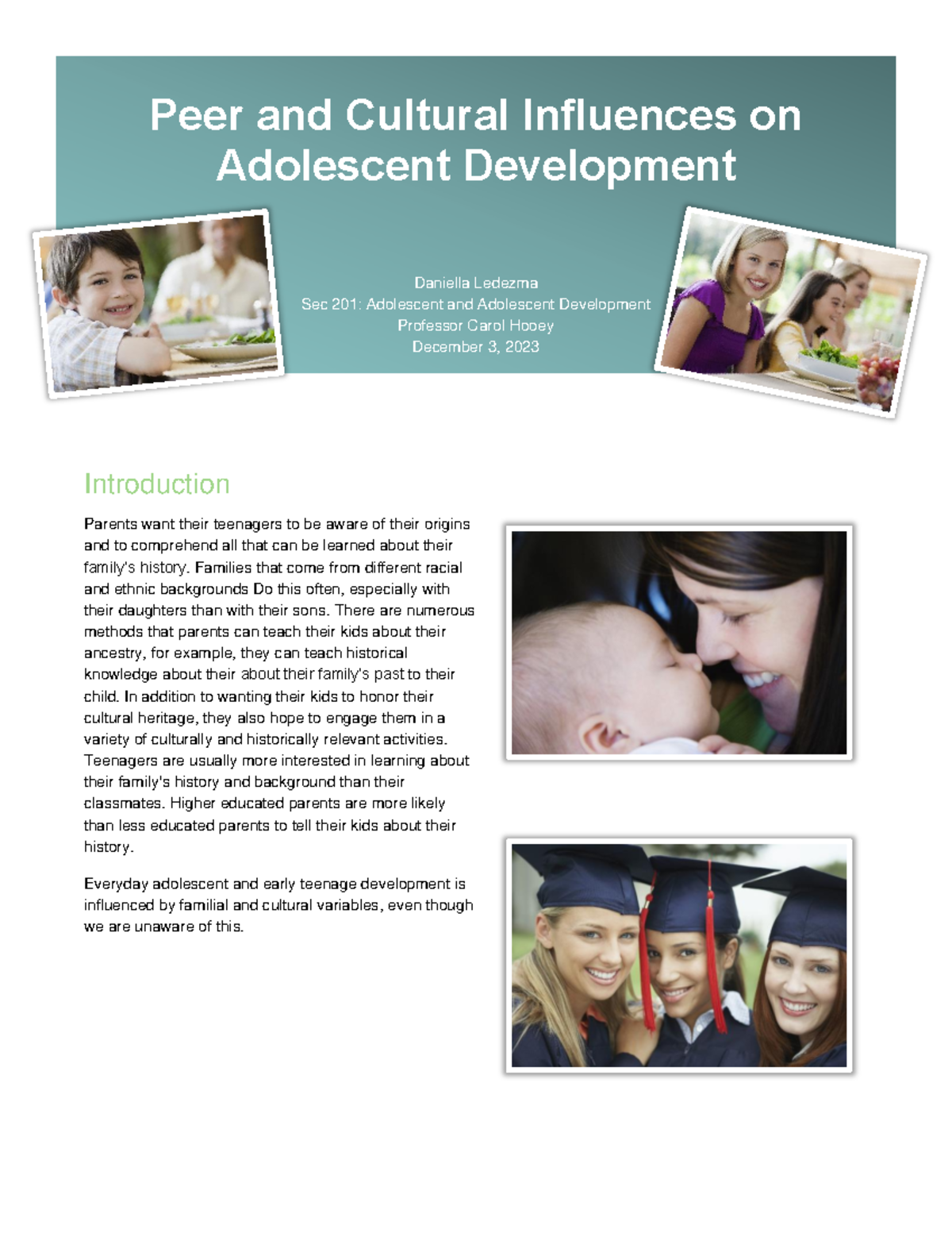 Assignment SEC - Peer & Cultural Influences on Adolescent Development ...