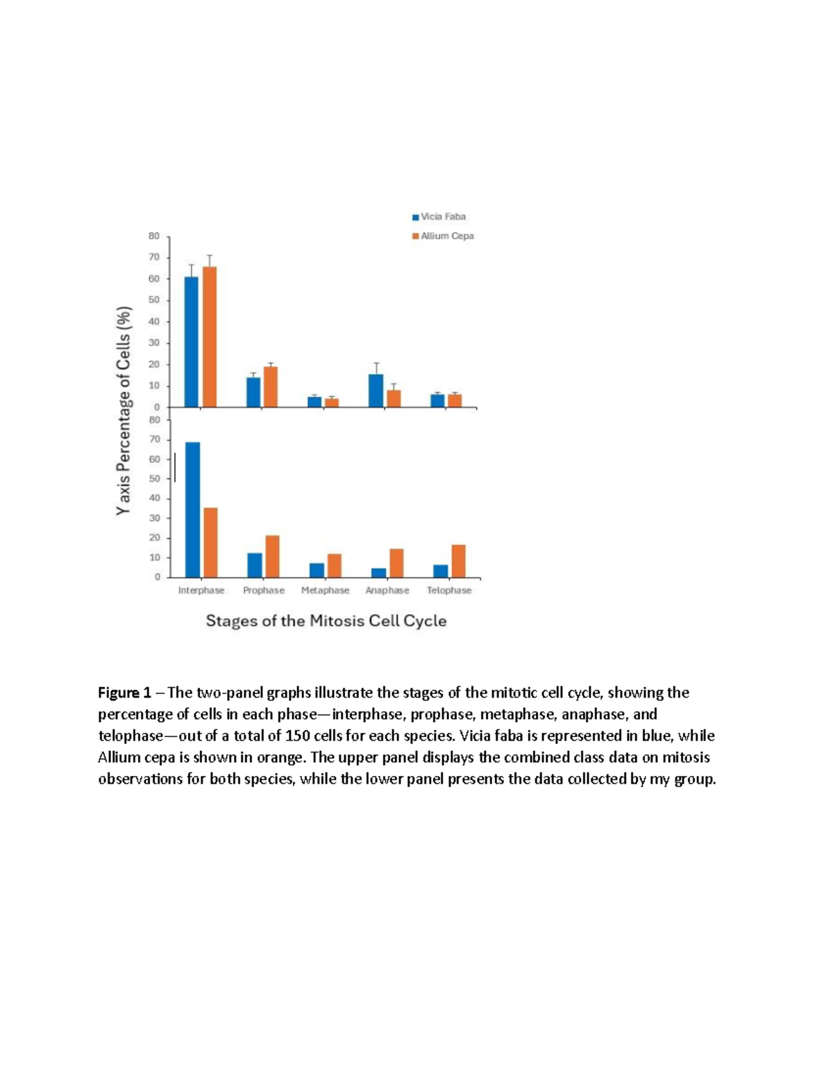 Mitosis Cell Cycle of Vicia faba and Allium cepa 1 - Figure 1 – The two ...