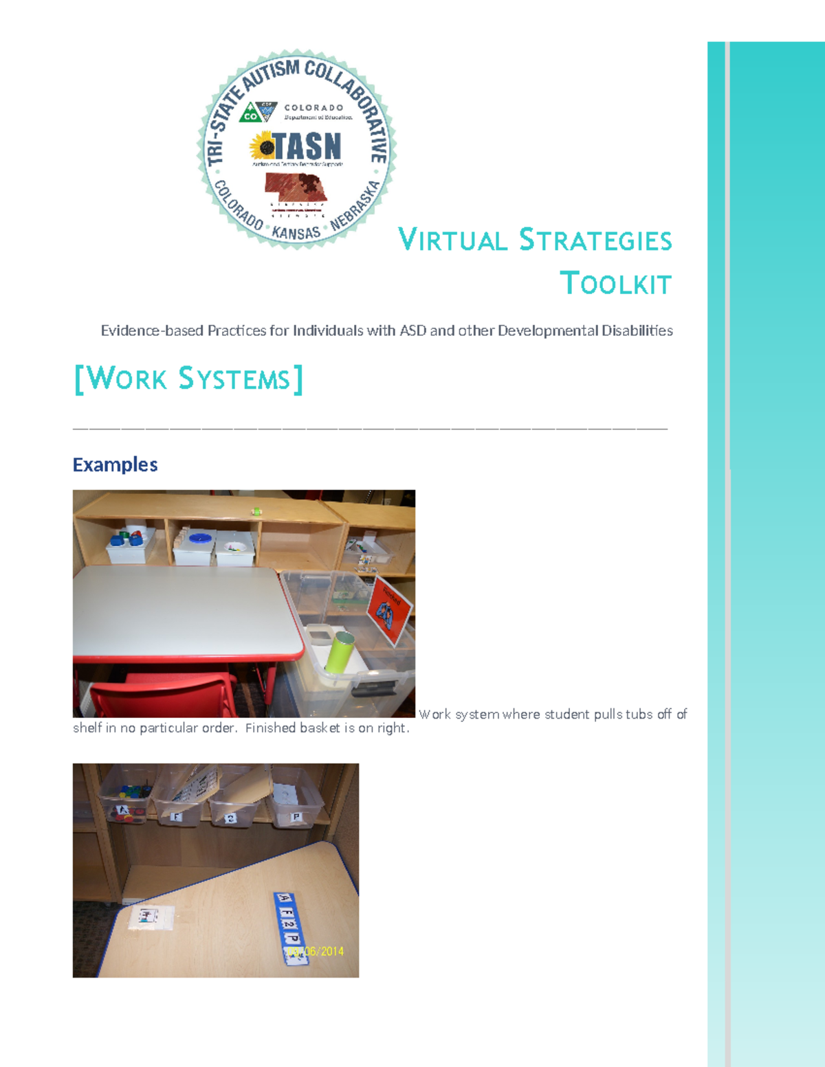 Virtual Strategies Toolkit: Work Systems for ASD and Developmental ...