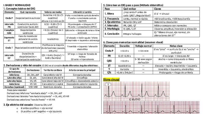 Guía de Lectura del EKG y Alteraciones - Curso EKG101 - Studocu