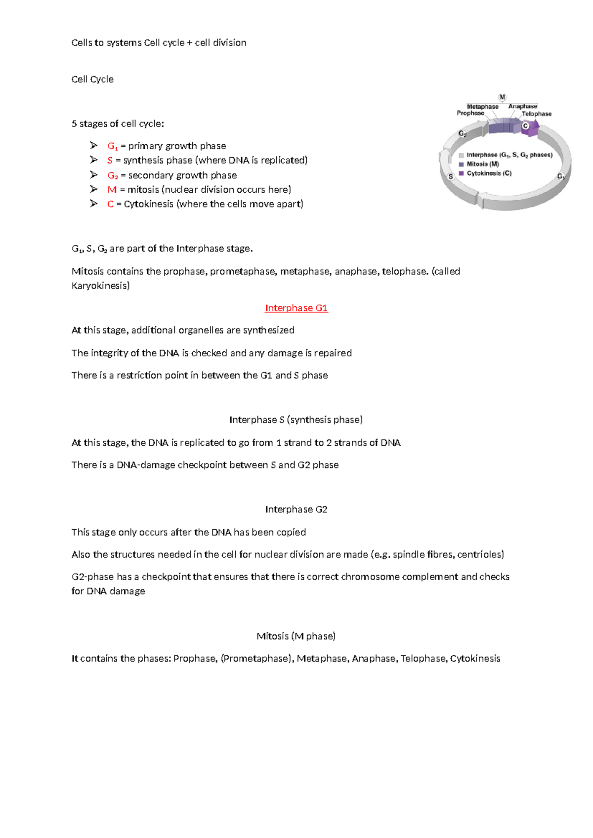 Cell Cycle - Cells to systems Cell cycle + cell division Cell Cycle 5 ...