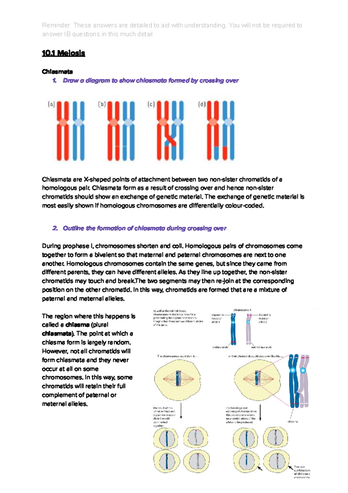 Genetics and Evolution (HL): Chiasmata, Genetic Diversity, and ...