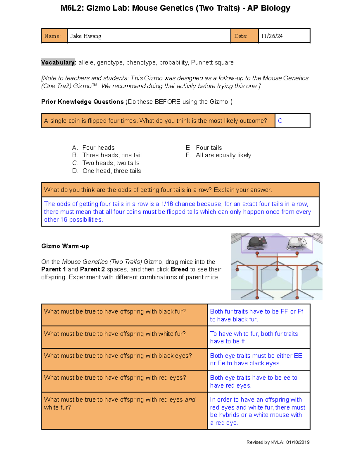 M6L2 Mouse Genetics 2 Traits - Name: Jake Hwang Date: 11/26/ Vocabulary ...