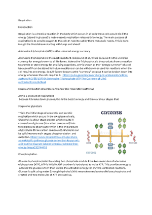 Aspirin 4C - assignment 4c btec applied science - 4C aspirin – making a ...