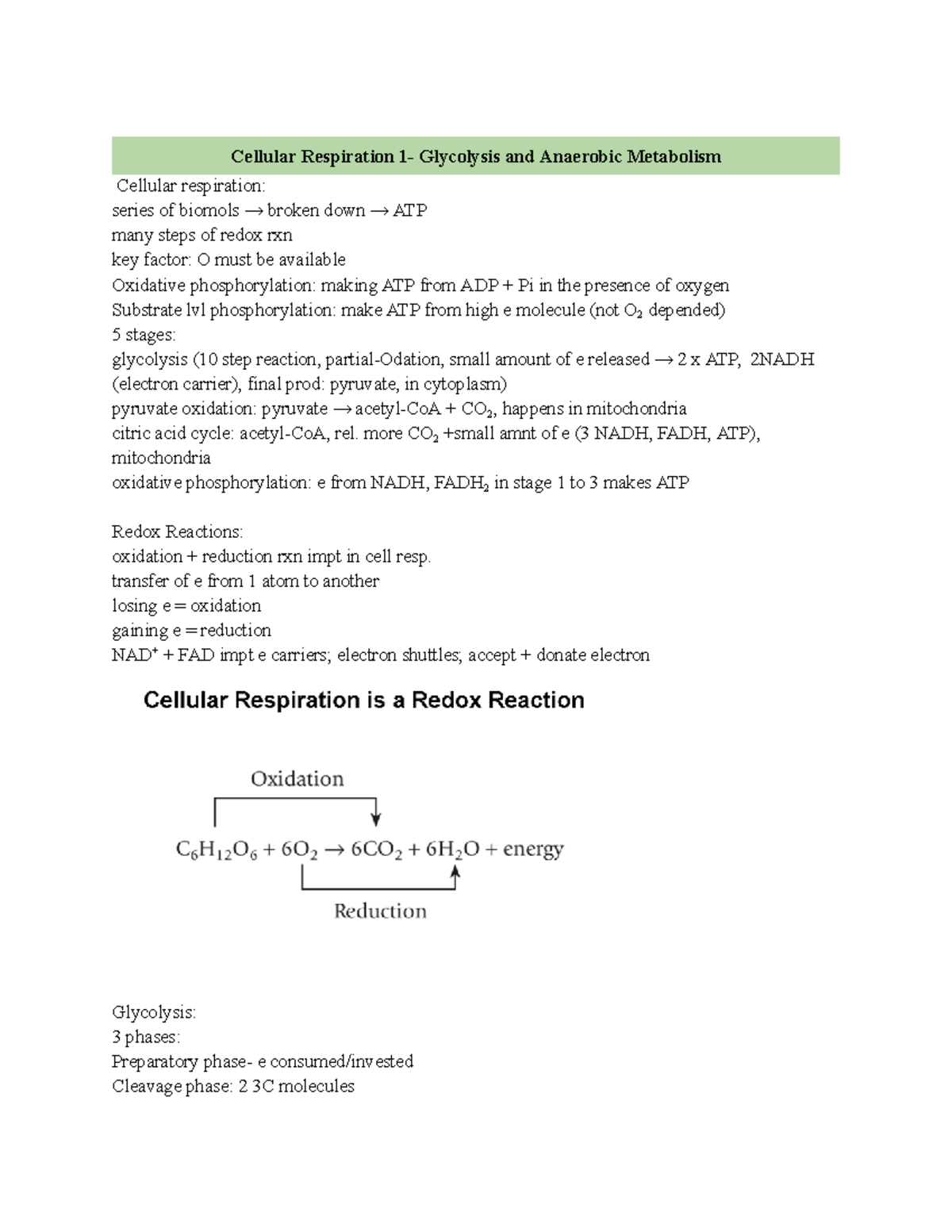 BIO 101: Cellular Respiration, Glycolysis & Anaerobic Metabolism Notes ...