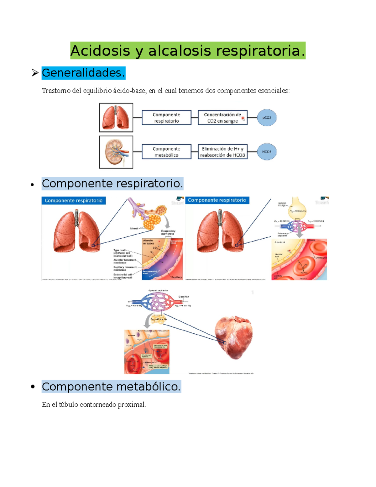 Hoja De Trabajo Sobre Alcalosis Respiratoria