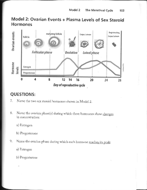 Bio 136 Stochastic Ecosystems Presentation - Bio 136 BLOCKBUSTER ...