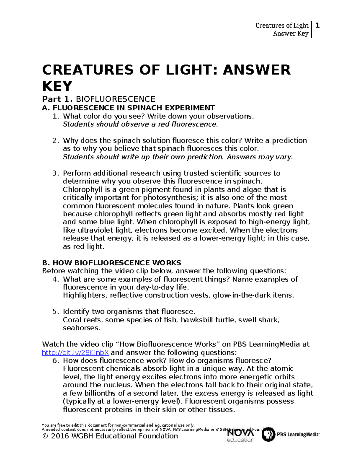 COL: Creatures of Light Answer Key for Activities and Experiments - Studocu