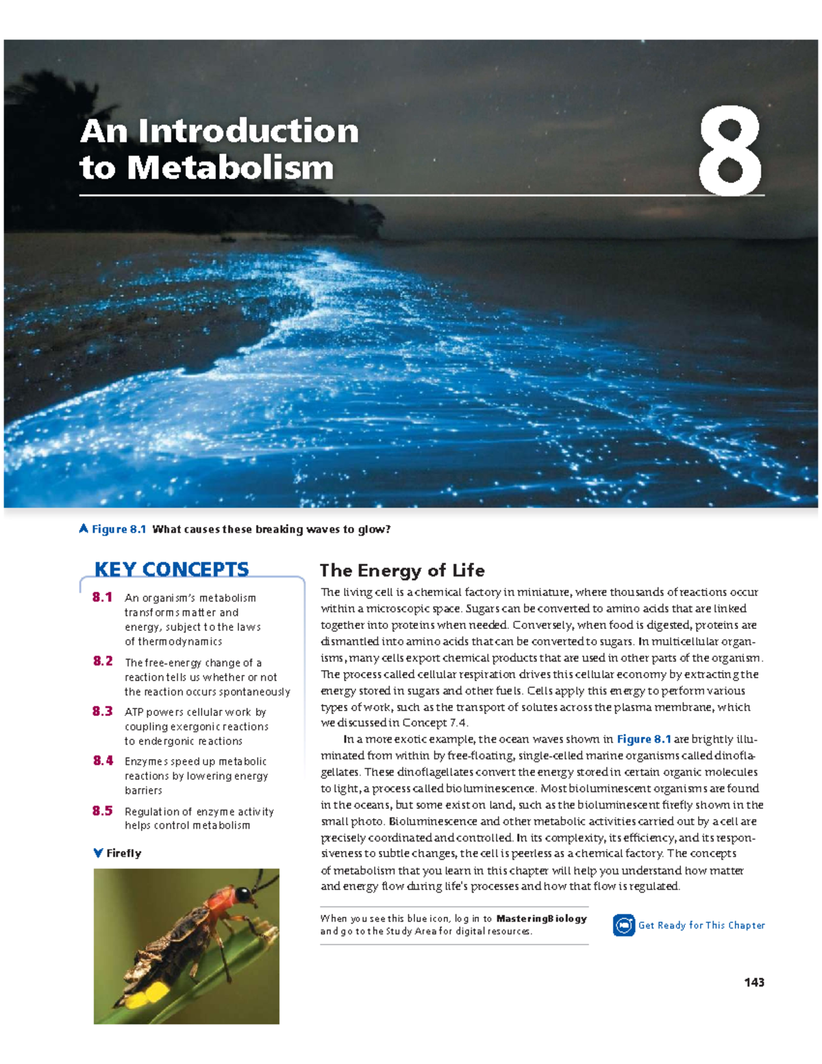 Cellular Respiration Overview (BIO 101) - Studocu