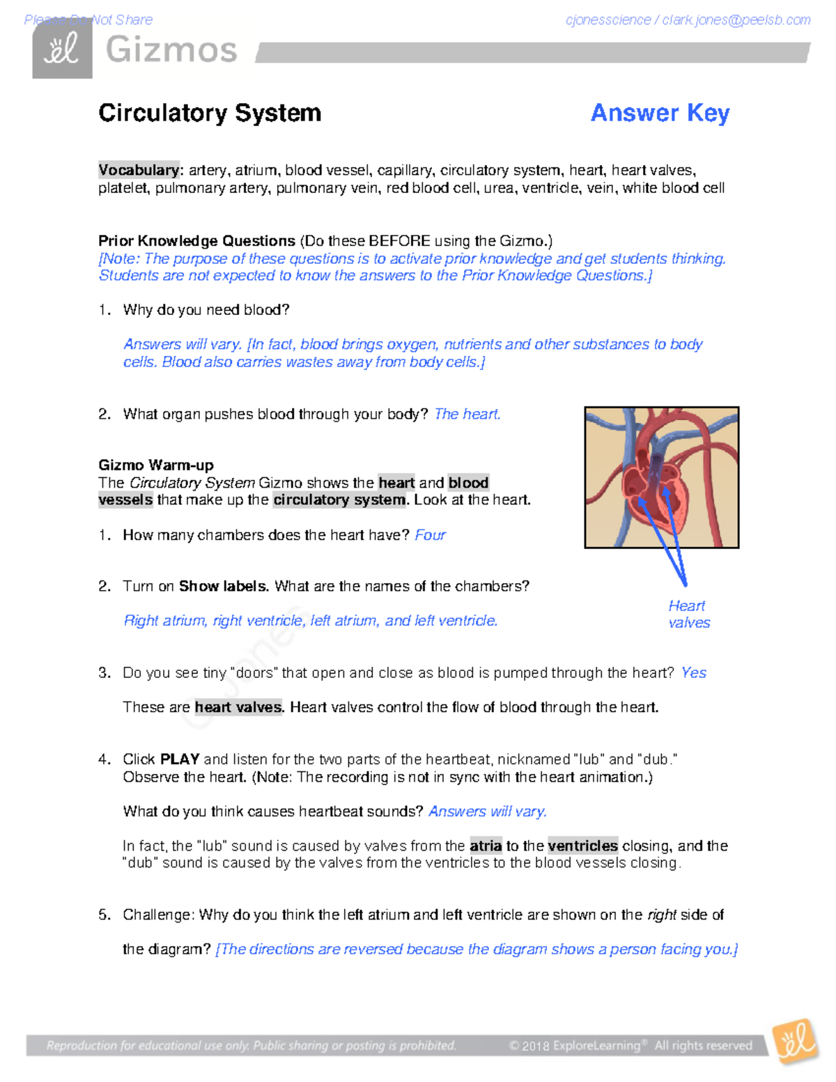 Circulatory System SE Answer Key (2018) - Studocu