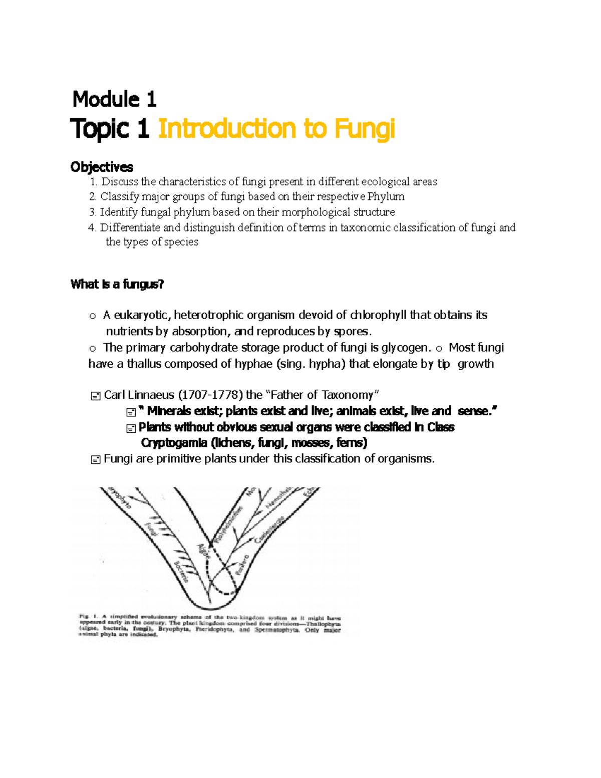 Module 1. Introduction - Module 1 Topic 1 Introduction to Fungi ...