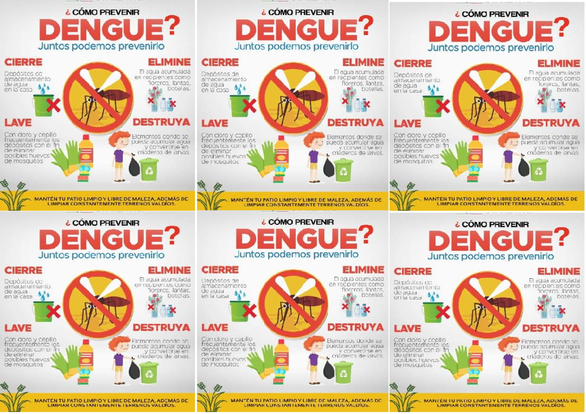 Prevención del Dengue: Consejos Prácticos para Mantener tu Hogar Seguro - Studocu