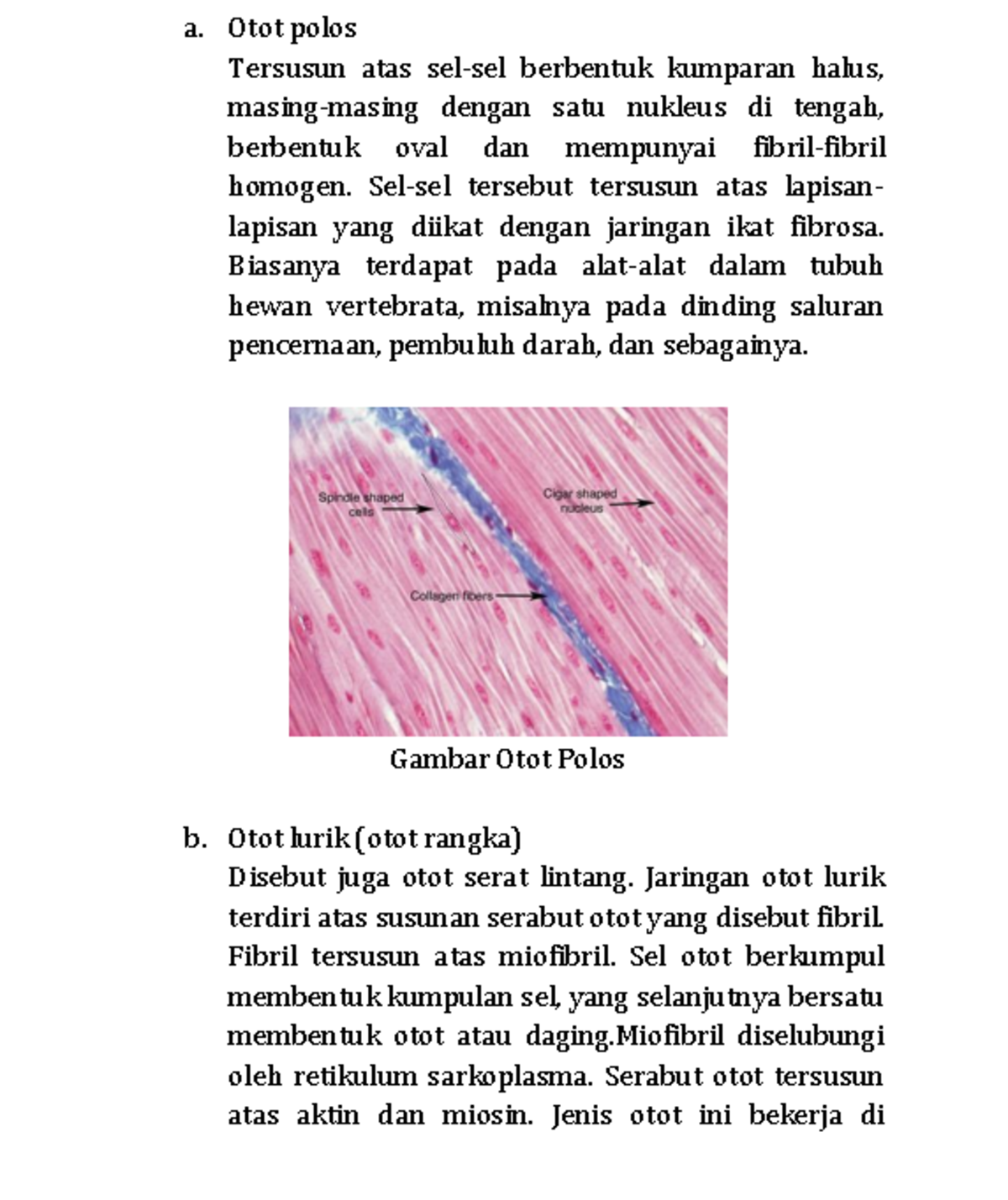 Catatan biologi lanjutan 20 - a. Otot polos Tersusun atas sel-sel ...