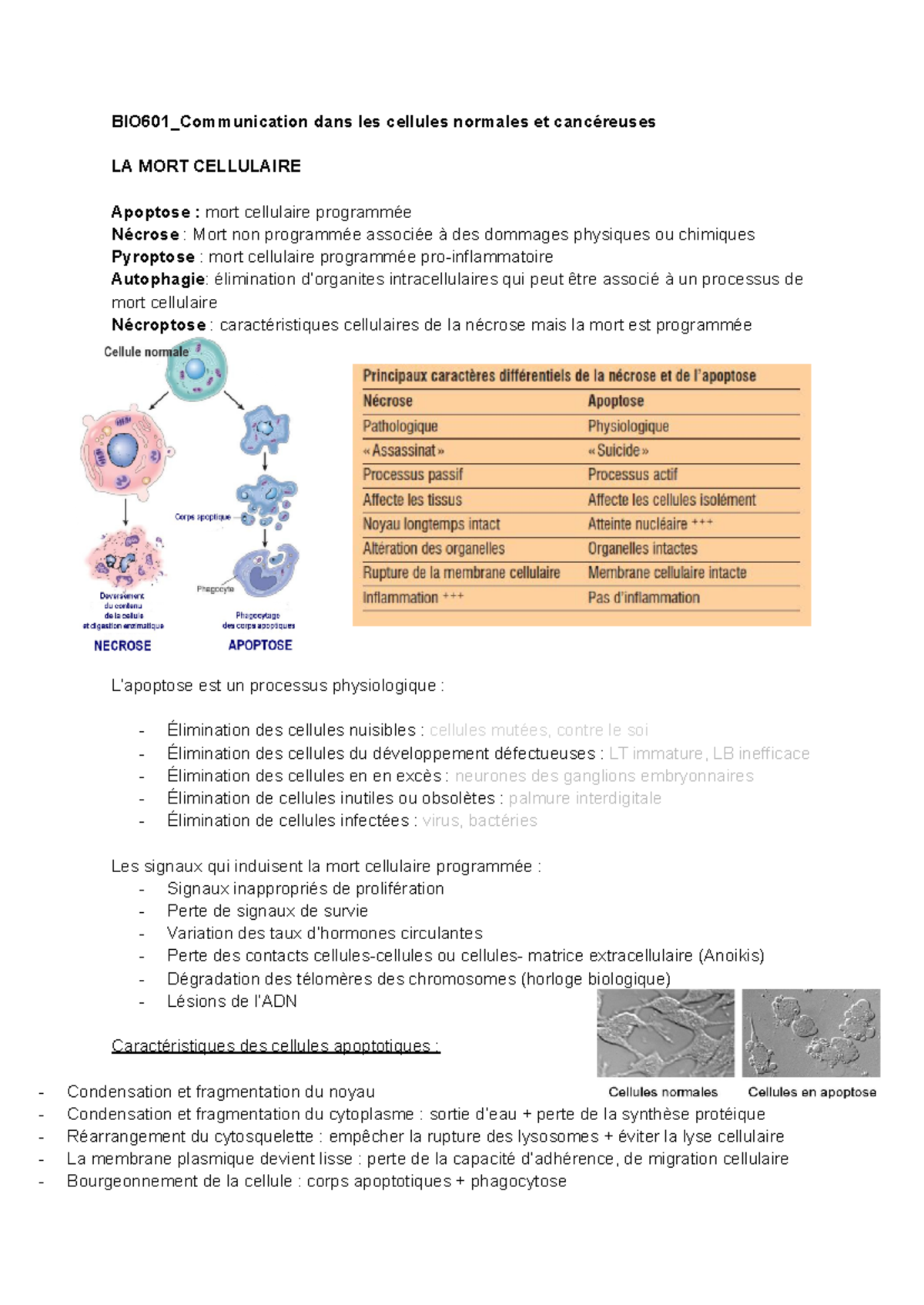 BIO601 Apoptose : Mécanismes et Caractéristiques de la Mort Cellulaire ...