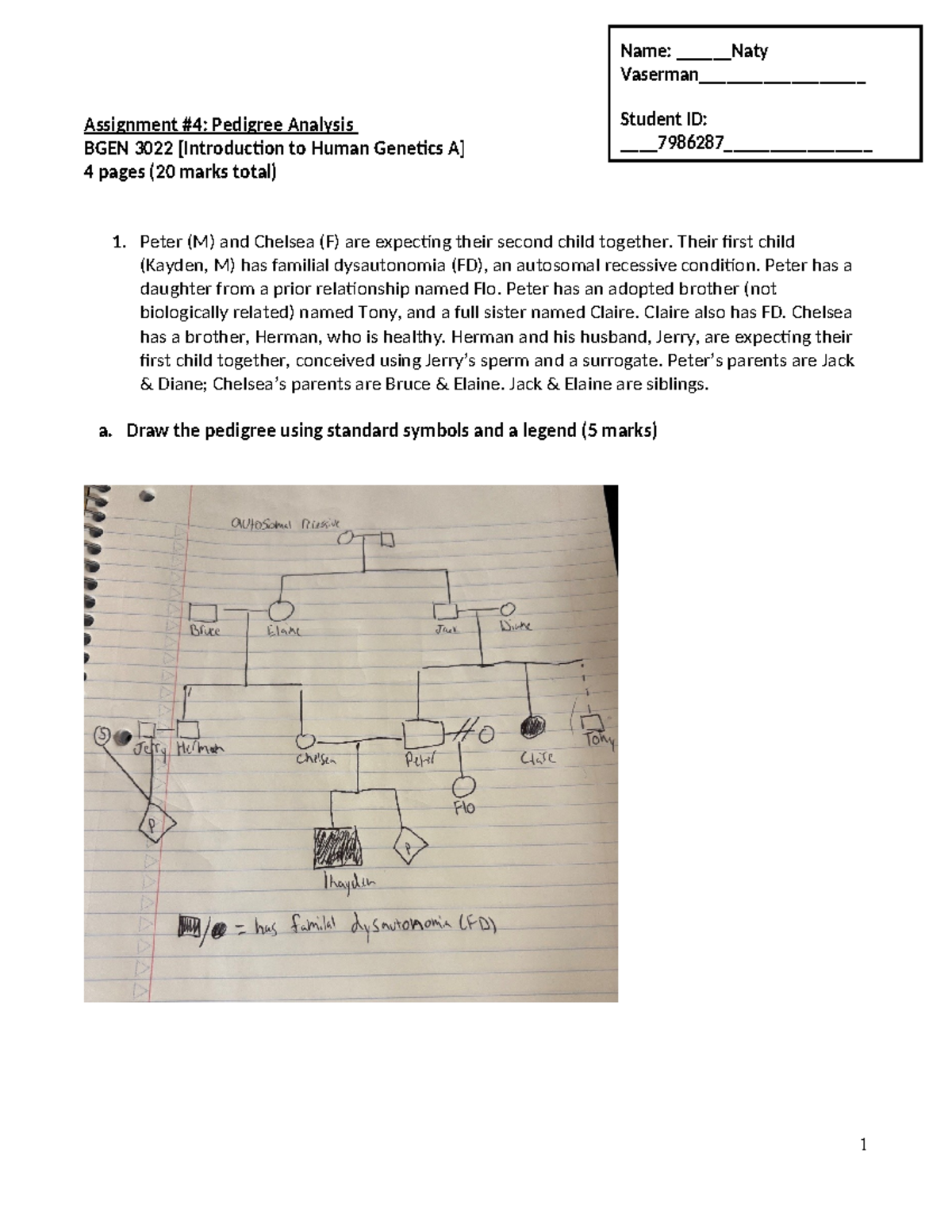 BGEN 3022 Assignment: Pedigree Analysis & Inheritance Patterns - Studocu