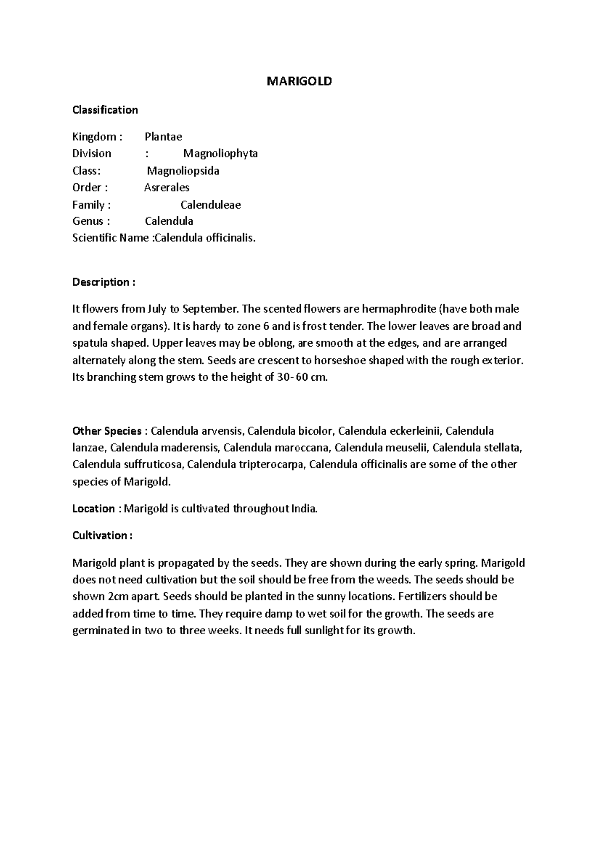 Marigold - MARIGOLD Classification Kingdom : Plantae Division ...