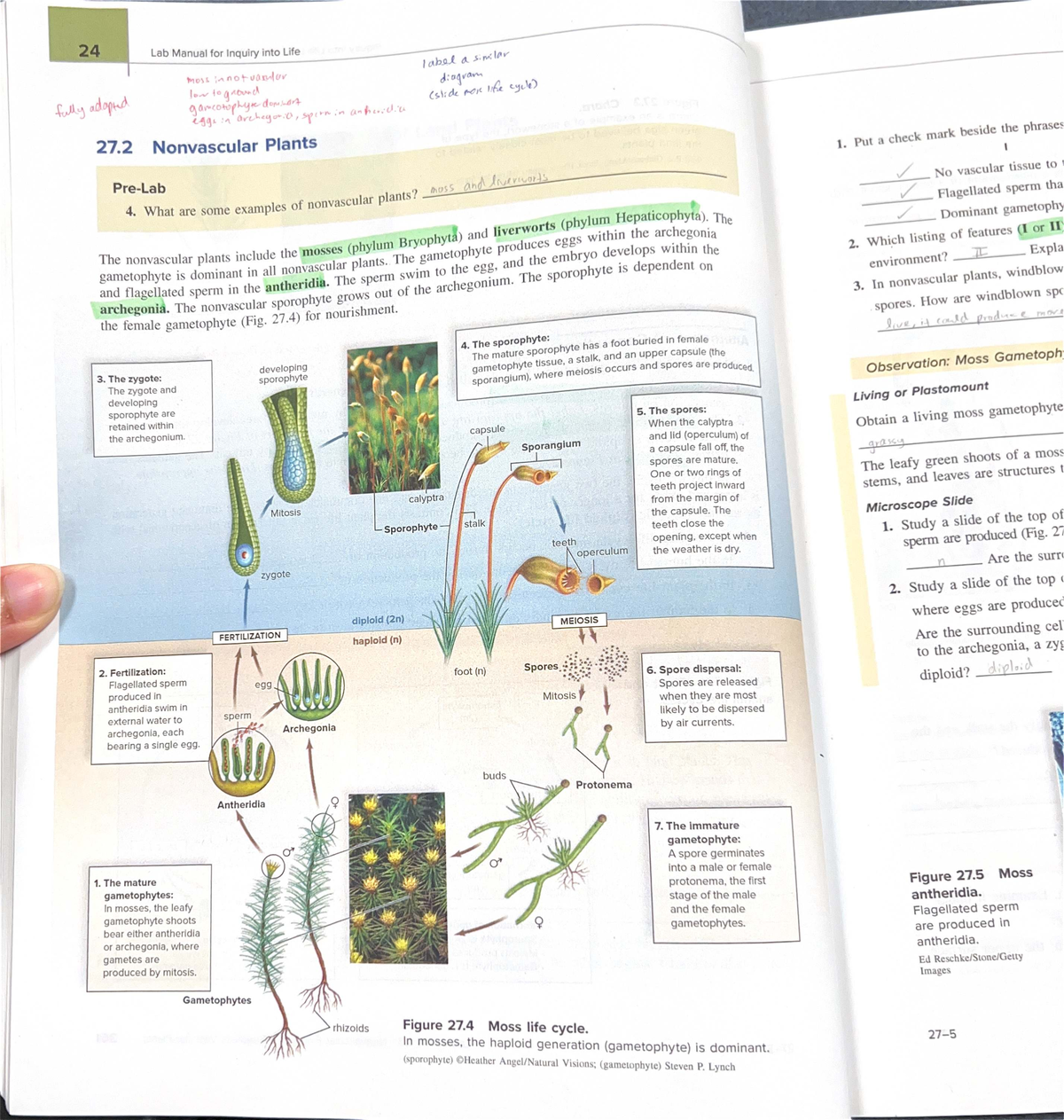 Lab Manual of 24-53 - 24 Lab Manual for Inquiry into Life label a ...