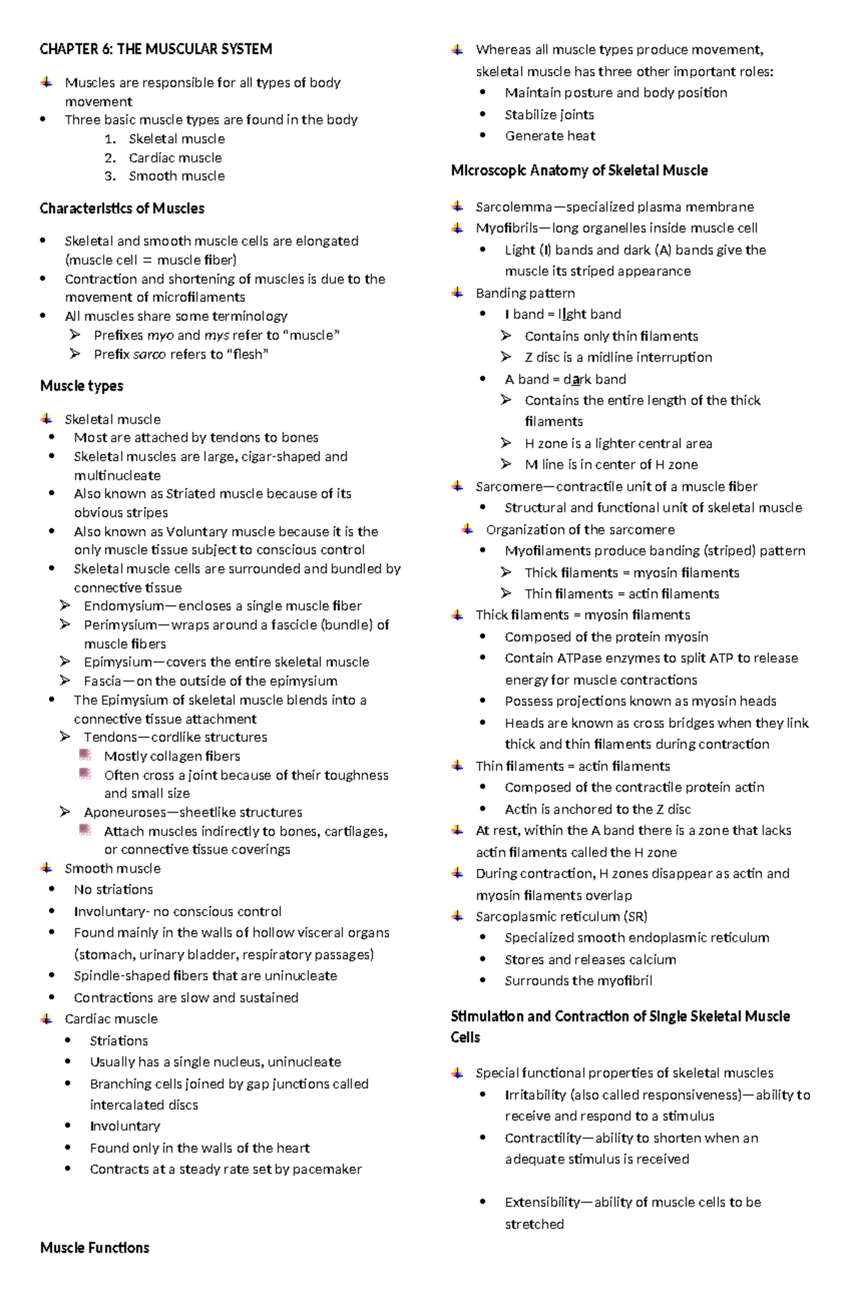 CHAPTER 6: THE MUSCULAR SYSTEM - Key Concepts and Functions - Studocu