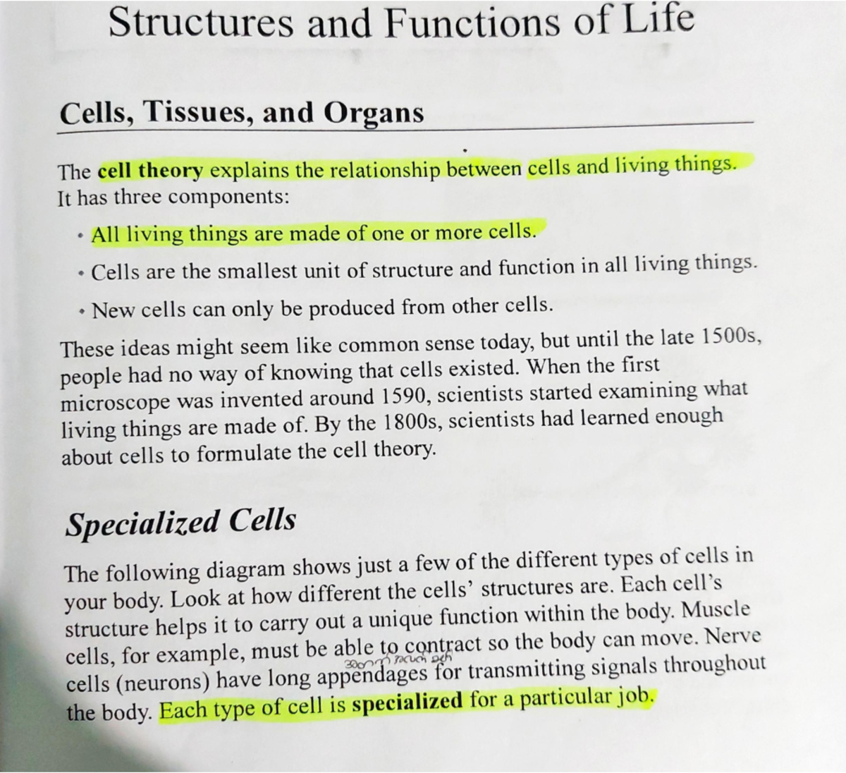Structures & Functions of Life - Structures and Functions ofLife Cells ...