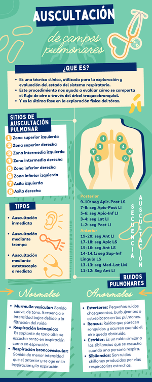 15 CORRECTOS DE LA ADMINISTRACIÓN DE MEDICAMENTOS EN ENFERMERÍA Los 15 ...