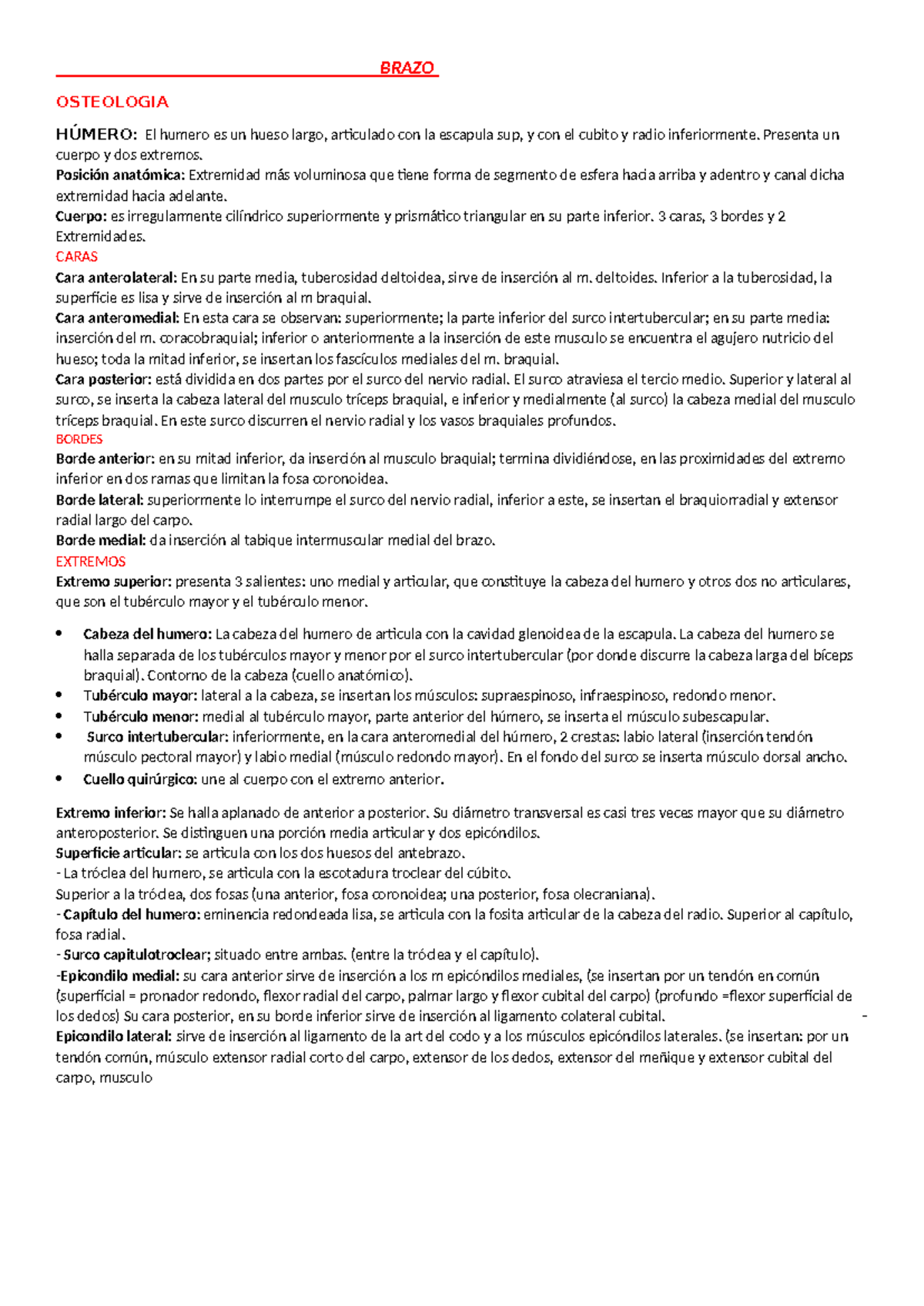 BRAZO ANATOMÍA HÚMERO: Estructura y Funciones del Húmero - Studocu