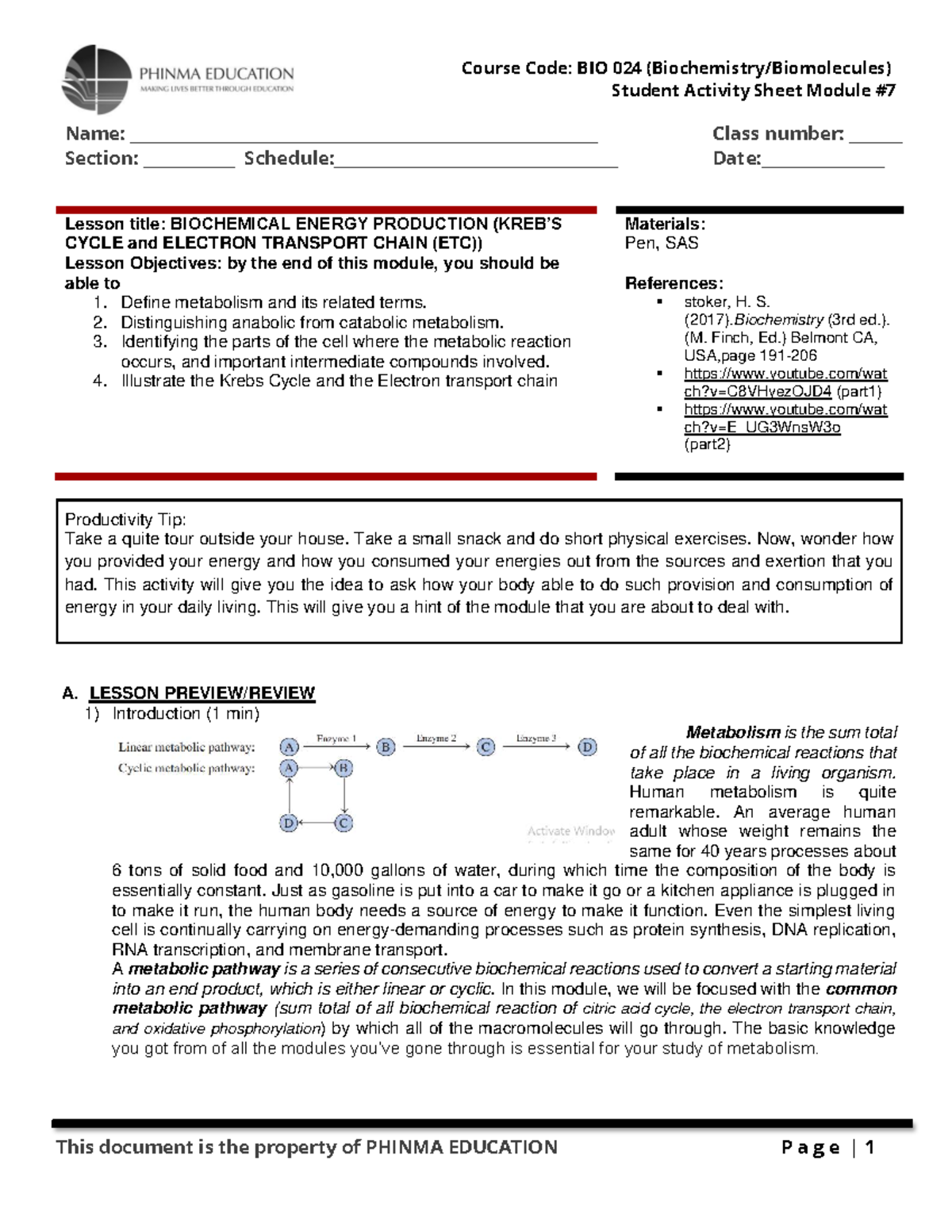 SAS for BIO 024: Biochemical Energy Production Cycle & ETC Lesson - Studocu