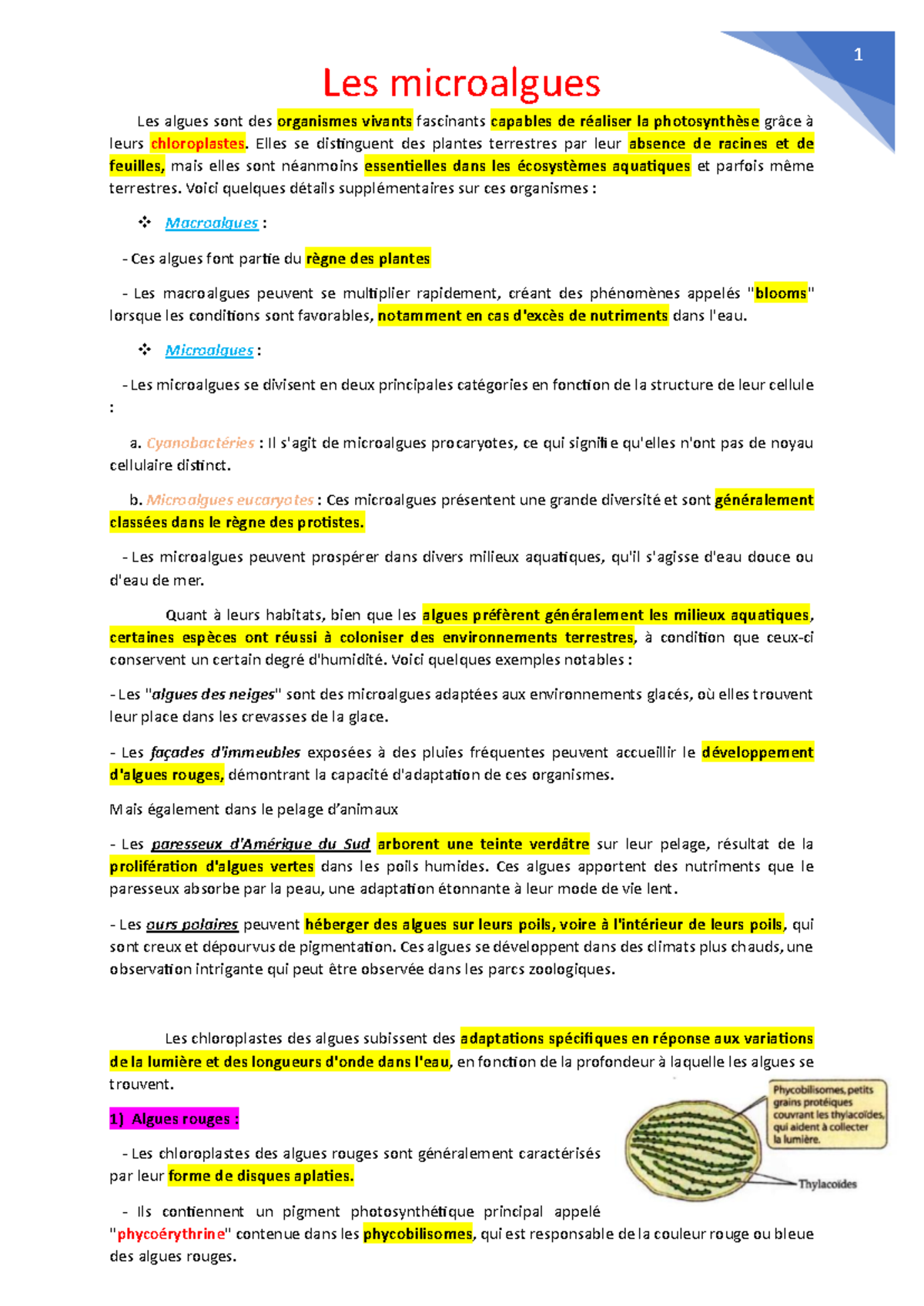Les microalgues - Cours Biologie 101: Classification et Écologie - Studocu